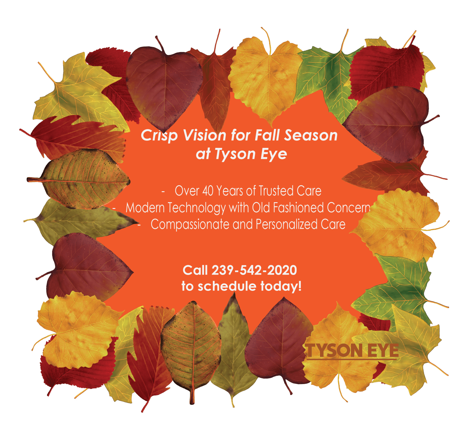 Crisp Vision for a New Season: Cataract Surgery at Tyson Eye